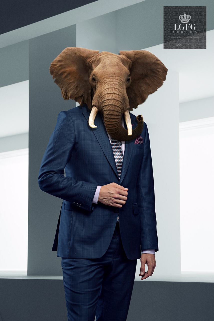 Corporate Jungle – The Elephant – LGFG Fashion House