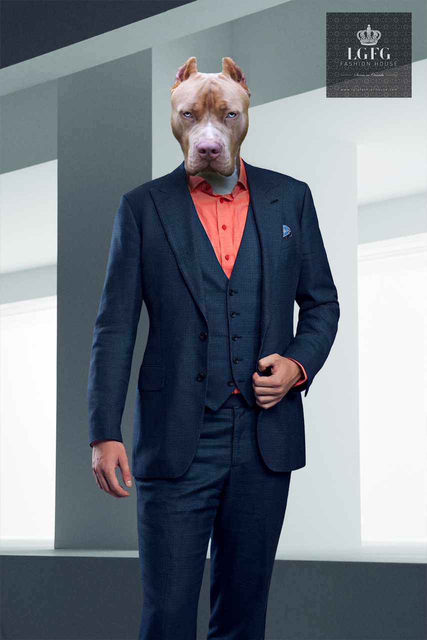 Corporate Wild – The Pitbull – LGFG Fashion House